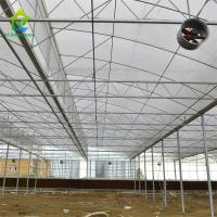 China Multi-span sawtooth glass wall film roof agricultural greenhouse with external sunshade net for sale