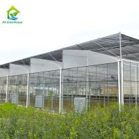China Multi-span sawtooth glass wall film roof agricultural greenhouse with external sunshade net for sale