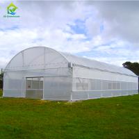 China Hot Galvanized Steel Anti UV 200 Micron Poly Film Single Span Greenhouse Easily Assembled for Tomato Cultivation for sale
