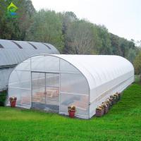 China Cheap Agricultural Green House Commercial Greenhouse Intelligent Single-Span Greenhouse for Tomato Planting for sale