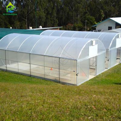 China Cheap Agricultural Green House Commercial Greenhouse Intelligent Single-Span Greenhouse for Tomato Planting for sale