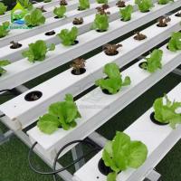 China China Factory Super Farm Hydroponic NFT Growing System NFT PVC Channel Horizontal NFT Soilless Leafy VegetableCultivation System for sale
