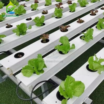China China Factory Super Farm Hydroponic NFT Growing System NFT PVC Channel Horizontal NFT Soilless Leafy VegetableCultivation System for sale