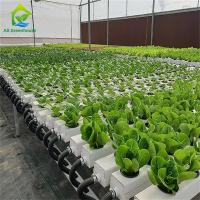 China China Factory Super Farm Hydroponic NFT Growing System NFT PVC Channel Horizontal NFT Soilless Leafy VegetableCultivation System for sale