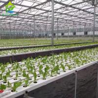 China China Factory Super Farm Hydroponic NFT Growing System NFT PVC Channel Horizontal NFT Soilless Leafy VegetableCultivation System for sale