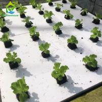 China Greenhouse floating board DWC soilless cultivation system for lettuce and vegetable cultivation for sale