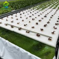 China Ebb&Flow Rolling Bench Floating Board DWC Deep Water Culture Greenhouse Soilless Vegetables Cultivation for sale