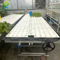 China Ebb&Flow Rolling Bench Floating Board DWC Deep Water Culture Greenhouse Soilless Vegetables Cultivation for sale