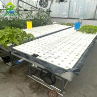 China Ebb&Flow Rolling Bench Floating Board DWC Deep Water Culture Greenhouse Soilless Vegetables Cultivation for sale