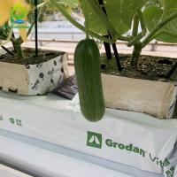 China Greenhouse Substrate Cultivation Solution Suitable for Cucumbers Chills Tomatoes Strawberries Soilless Cultivation for sale