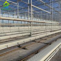 China Greenhouse Substrate Cultivation Solution Suitable for Cucumbers Chills Tomatoes Strawberries Soilless Cultivation for sale