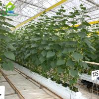 China Greenhouse Substrate Cultivation Solution Suitable for Cucumbers Chills Tomatoes Strawberries Soilless Cultivation for sale