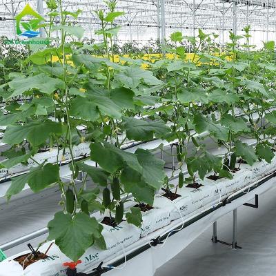 China Greenhouse Substrate Cultivation Solution Suitable for Cucumbers Chills Tomatoes Strawberries Soilless Cultivation for sale