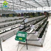 China Multilayer Structure A-frame PVC Planting Troughs Greenhouse Strawberry Growing for sale