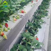 China Multilayer Structure A-frame PVC Planting Troughs Greenhouse Strawberry Growing for sale