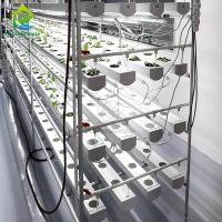 China Automated Multi-layer Vertical NFT Hydroponic System with Integrated LED Lighting for Soilless Cultivation for sale