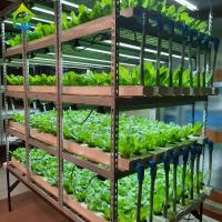 China Automated Multi-layer Vertical NFT Hydroponic System with Integrated LED Lighting for Soilless Cultivation for sale