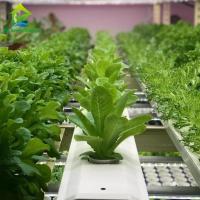 China Automated Multi-layer Vertical NFT Hydroponic System with Integrated LED Lighting for Soilless Cultivation for sale