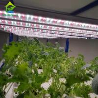 China Automated Multi-layer Vertical NFT Hydroponic System with Integrated LED Lighting for Soilless Cultivation for sale