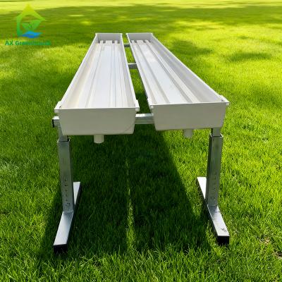China 4M Double Row Horizontal Planting Trough Steel Frame Soilless Cultivation Set with Water tank and Water Pump for sale