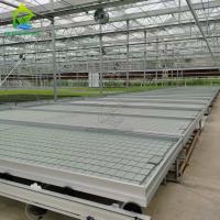China Custom Logistics-based Track-mounted Adjustable Ebb and Flow Table Seedling Bed for Greenhouse Seedling Cultivation for sale