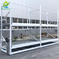 China Heavy-Duty Adjustable Rolling Bench for Greenhouses with Hot-dip Galvanized Steel Frame and 120kg/m² Load Capacity for sale