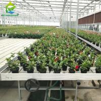 China Commercial Aluminum Frame Ebb & Flow Bench with Adjustable Height and Integrated PP/ABS Tray for Greenhouses for sale