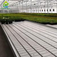 China Commercial Aluminum Frame Ebb & Flow Bench with Adjustable Height and Integrated PP/ABS Tray for Greenhouses for sale