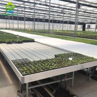 China Commercial Aluminum Frame Ebb & Flow Bench with Adjustable Height and Integrated PP/ABS Tray for Greenhouses for sale