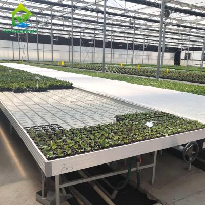 China Commercial Aluminum Frame Ebb & Flow Bench with Adjustable Height and Integrated PP/ABS Tray for Greenhouses for sale