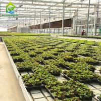 China Commercial Aluminum Frame Ebb & Flow Bench with Adjustable Height and Integrated PP/ABS Tray for Greenhouses for sale