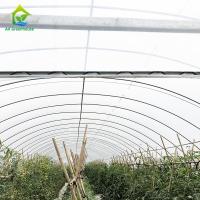 China Transparent 200 Mirco Greenhouse Cover Materials Multispan Greenhouse Plastic Film for sale
