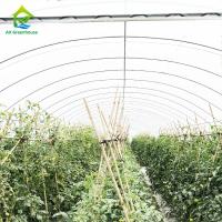China Transparent 200 Mirco Greenhouse Cover Materials Multispan Greenhouse Plastic Film for sale