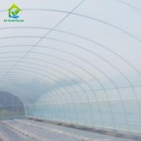 China 150 Micro Strawberry Greenhouse Cover Materials 88% Transmittance PE Plastic Film for sale