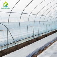 China 150 Micro Strawberry Greenhouse Cover Materials 88% Transmittance PE Plastic Film for sale