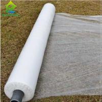 China 150 Micro Strawberry Greenhouse Cover Materials 88% Transmittance PE Plastic Film for sale
