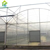 China Large Clear Plastic Sheeting Greenhouse 4m-7.5m Height Galvanized Steel Greenhouse for sale