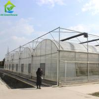 China Large Clear Plastic Sheeting Greenhouse 4m-7.5m Height Galvanized Steel Greenhouse for sale