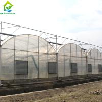 China Large Clear Plastic Sheeting Greenhouse 4m-7.5m Height Galvanized Steel Greenhouse for sale