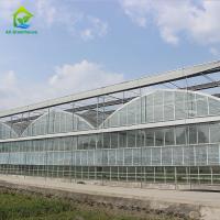 China Heavy Duty Glass Hydroponic Nursery Greenhouse For Vegetables for sale