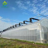 China UV Resistant Plastic Sheeting Greenhouse 20-100m Length Mosquito Net Greenhouse for sale