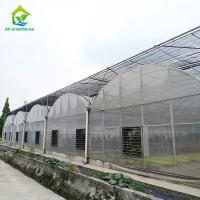 China UV Resistant Plastic Sheeting Greenhouse 20-100m Length Mosquito Net Greenhouse for sale
