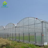 China 150 to 200 micro Plastic Film Greenhouse Multispan 4 Seasons Green House for sale