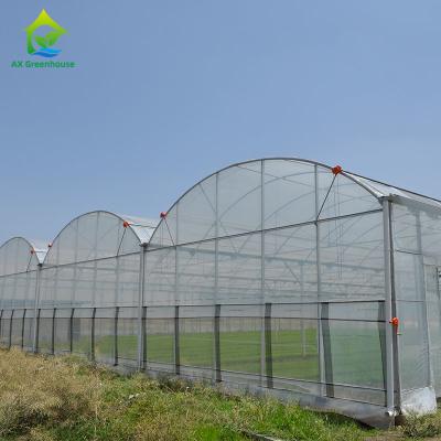 China 150 to 200 micro Plastic Film Greenhouse Multispan 4 Seasons Green House for sale