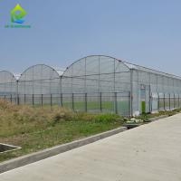 China 150 to 200 micro Plastic Film Greenhouse Multispan 4 Seasons Green House for sale