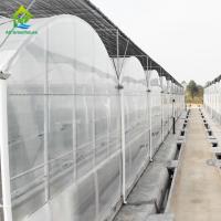 China Plastic Film Greenhouse For Vegetables for sale