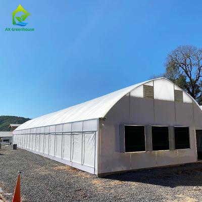 China 110V To 380V Blackout Light Deprivation Greenhouse Single Span 30' X 100' Greenhouse for sale