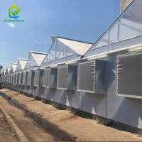 China PE Film 220V Auto Light Dep Greenhouse 100% Blackout High Tunnel Greenhouse for sale