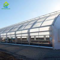 China 3.2*3 Steeple Auto Blackout Greenhouse Light Dep Caterpillar Tunnel Greenhouse for sale