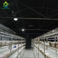 China 220V Gutter Connected Large Tunnel Greenhouse for sale